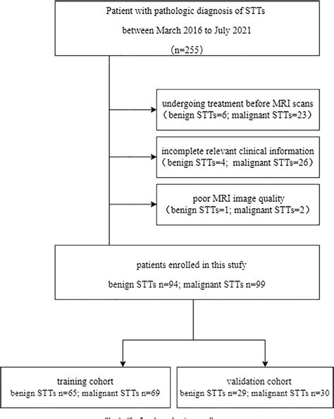 Figure 1 From Radiomics Approach To Distinguish Between Benign And