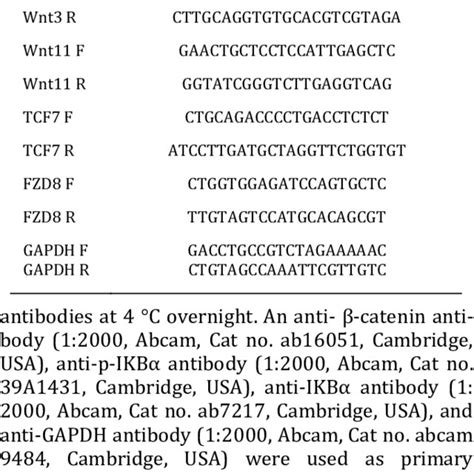 Qrt Pcr Primer Sequences Download Table