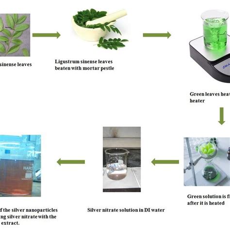 A Schematic Showing The Process Of Preparing Extract Solution And