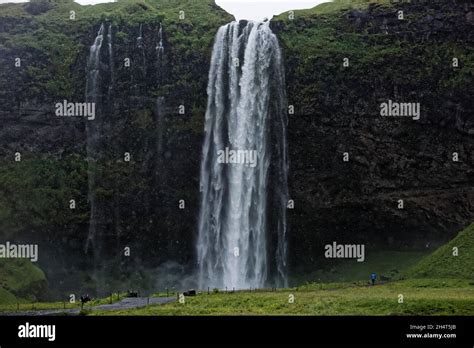 Seljalandsfoss Waterfall Plunging 60m From The Cliff Above Sudhurland