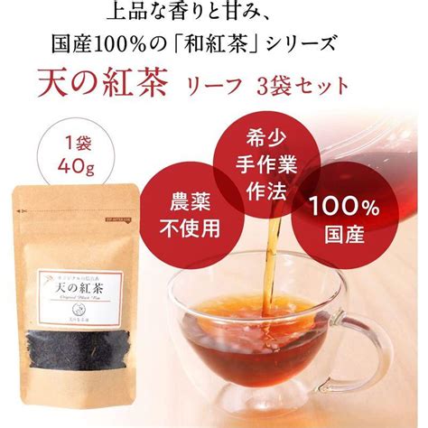 天の製茶園 天の紅茶 リーフ 40g×3袋 和紅茶 農薬不使用 国産 水俣 20230317010913 00998