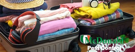 How Long Do Bed Bugs Live Without A Host