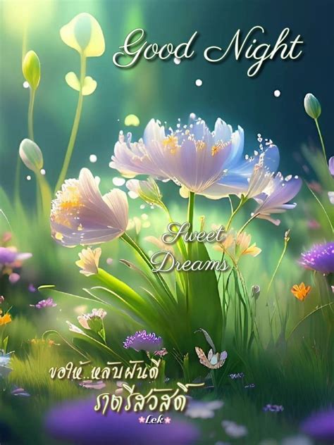Good Night Sweet Dream S ราตรีสวัสดิ์ ฝันดีราตรีสวัสดิ์ สวัสดีตอนเช้า