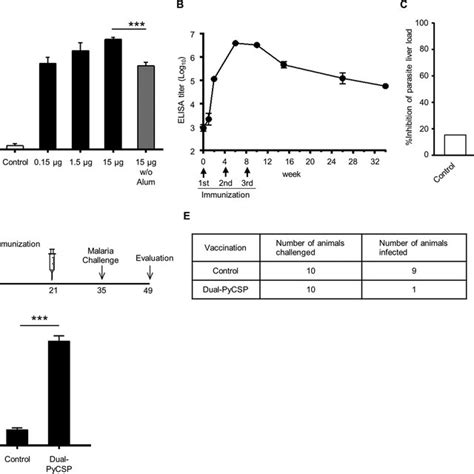 Development And Characterization Of Vlp Vaccine Platform A Schematic