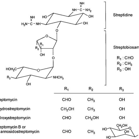 Structure Of Some Sreptomycin Components Download Scientific Diagram