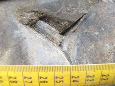 Flaw Assessment Ccpge