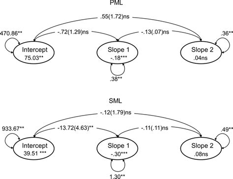 Unconditional Piecewise Lgms For Pml And Sml Note Intercepts Download Scientific Diagram