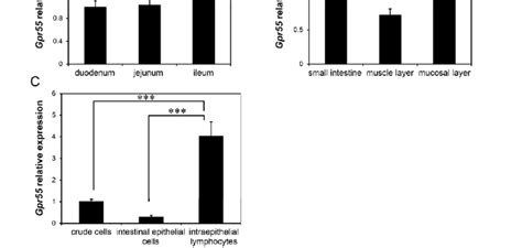 Gpr55 Mrna Expression In The Mouse Small Intestine A Relative
