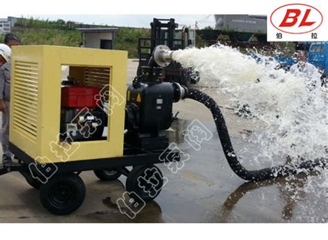 Dewatering Farm Water Pump Irrigation Pump Flood Pump River Water Pump