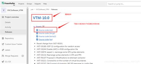 【十七】 windows环境下使用vtm编解码视频测试 详细图解和步骤 vtm标准测试序列 csdn博客