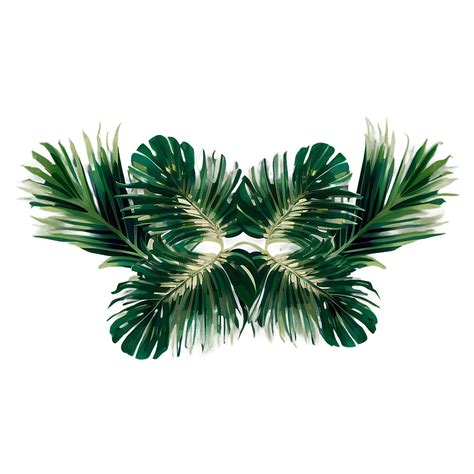 Download Palm Leaves Frame Png 94