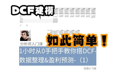 1小时从0搭建dcf模型 数据整理及盈利预测（一） Bilibilib站无水印视频解析——yiuios易柚斯