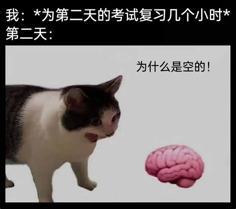 Meme梗图：从某种意义上来说，梦想确实实现了 哔哩哔哩