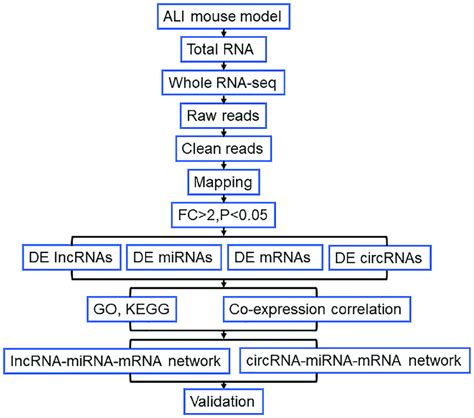 Flowchart For Analysis Of The Whole Transcriptome Sequencing Analysis Download Scientific