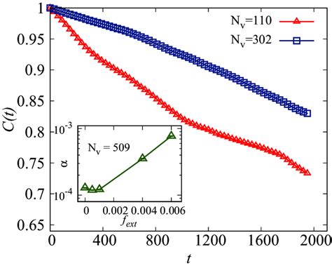 Orientational Correlation Function Of Vesicle In The Absence Of