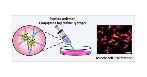 Thermoresponsive Injectable Hydrogel To Mimic The Heat And Strain