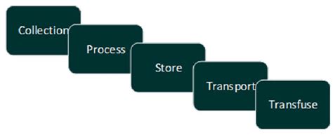End To End Cold Chain Process Download Scientific Diagram