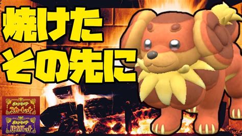 可愛いバウッツェルで受けて上昇して繋いでいく！【ポケモンsv】 Youtube