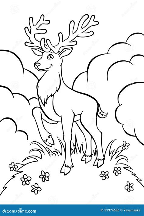 Young Deer In The Forest Stock Illustration Illustration Of Colouring