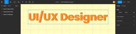 Pratham Survase Web Designer Ims Group Linkedin