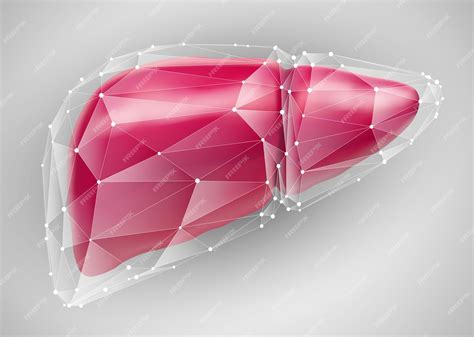 Premium Vector Human Liver 3d Vector Health And Medicine
