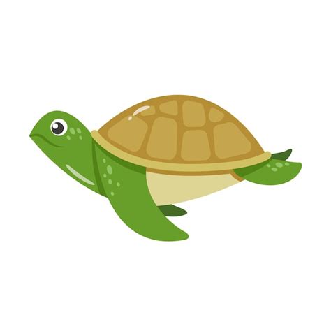 Desenho De Tartaruga Bonito Vetor Premium