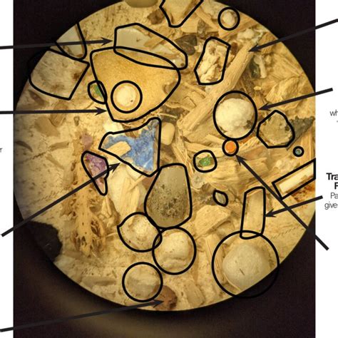 Pdf Guide For The Visual Identification And Classification Of Plastic