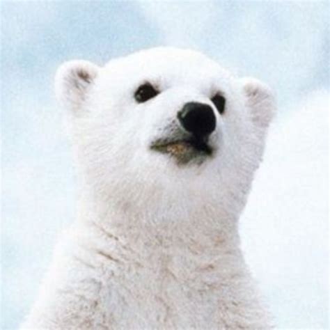 곰탱이밤탱이🐻 Youtube