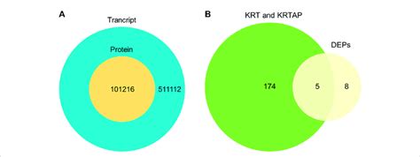 Comparison Of The Transcriptome And Proteome A Overlap Of The