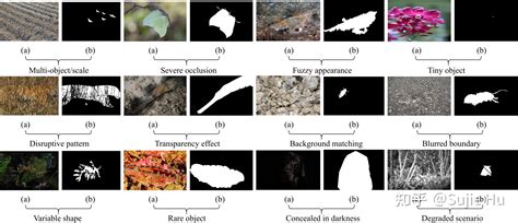 伪装目标检测及其拓展研究：综述 知乎