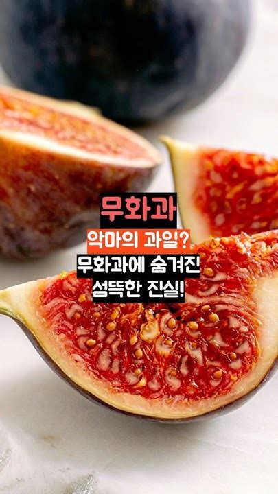 무화과 안에 곤충이 있다고 충격적 진실 공개 🐝😱 Youtube