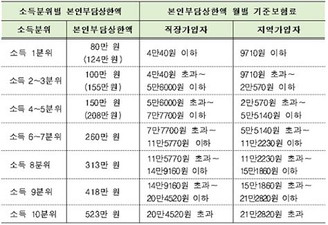 본인부담상한제로 저소득층 의료비 부담 대폭 감소 E의료정보