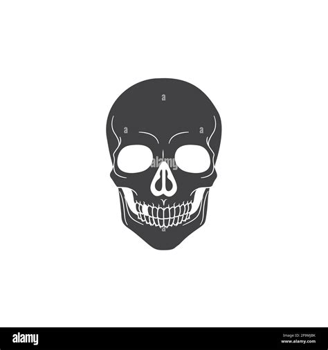 Modern Minimalist Human Skull Icon Vector Illustration Simple Skeleton