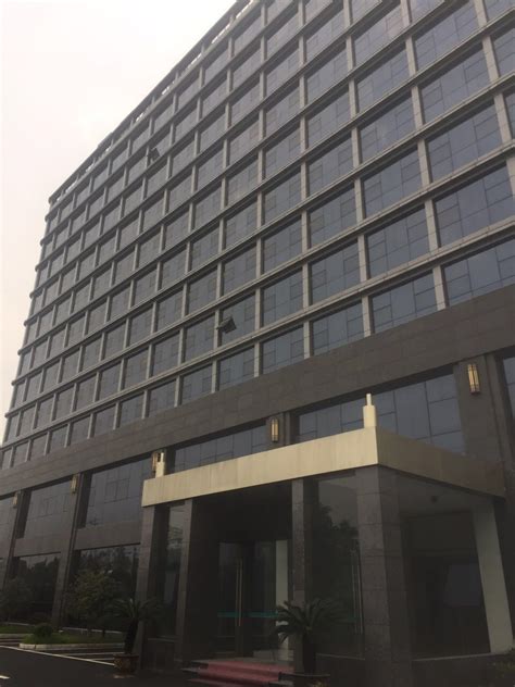天马国际
