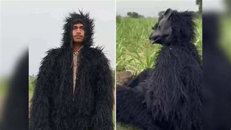 Kisan Bane Bhalu Uttar Pradesh Lakhimpur Kheri Farmers Use Bear Costume