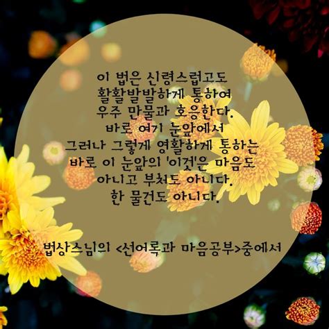 법상스님의 중에서 법상스님글모음