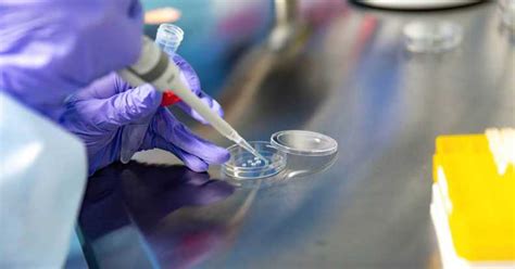 Government Guidance Reveals Nhs Ivf Postcode Lottery For Same Sex Couples