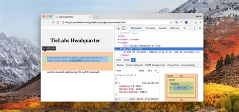 الخواص Padding Margin Border و Box Sizing في Css فؤاد بدوي المُعاصر