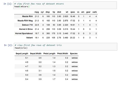 Creating Hypothetical Datasets Process R