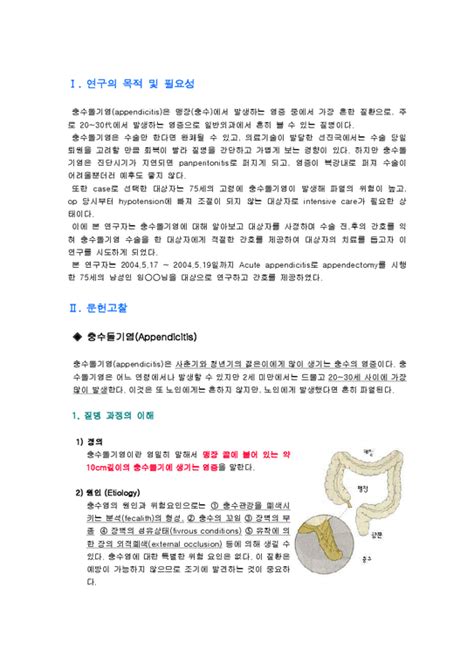 간호학 충수돌기염 문헌고찰과 간호과정 의약학