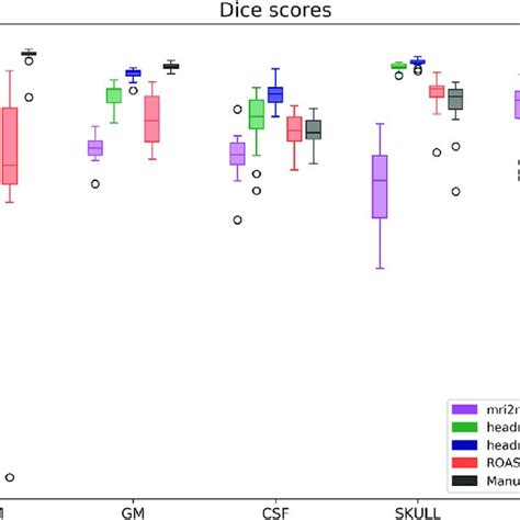 Dice Scores Computed For Each Of The Pipelines And The Manually Download Scientific Diagram