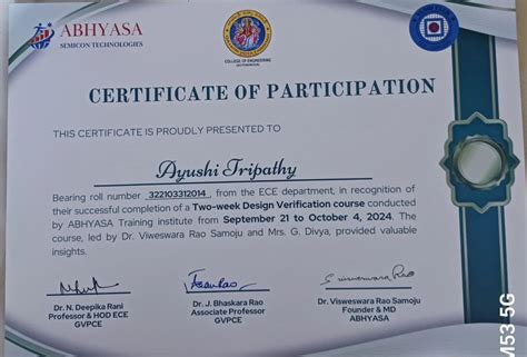 ayushi tripathy on linkedin i successfully completed a two week design verification course