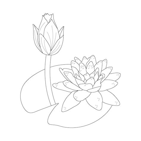Lily Pads Coloring Pages