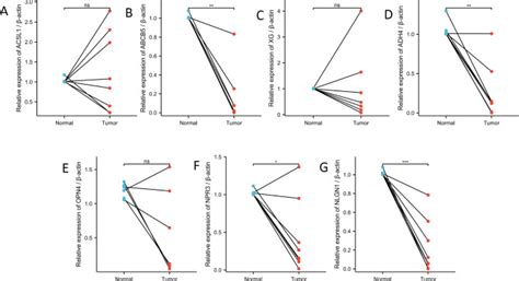 Identification Of A Novel Immune Related Gene Signature By Single Cell And Bulk Sequencing For