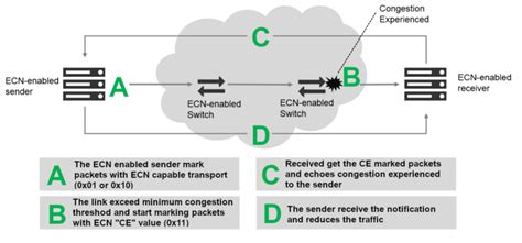 Rdma Over Converged Ethernet Rocev2 On Cisco Nexus 9300 •