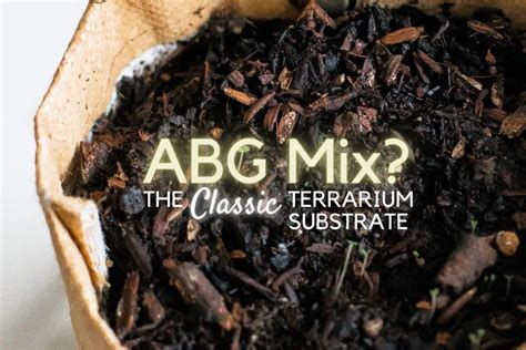 ABG Mix - The Classic Terrarium Substrate Recipe - Terrarium Tribe