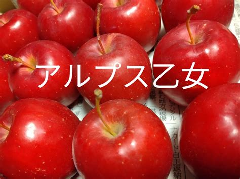 アルプス乙女姫リンゴ20個Yahoo フリマ旧PayPayフリマ