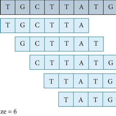 Sequence Data Encoding Using Label Binarizer Download Scientific Diagram