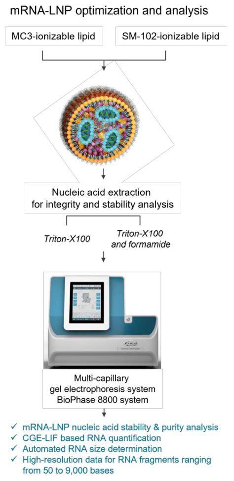 Mrna Lnp Nucleic Acid Assessment From Distinct Formulations By Multi Capillary Gel Electrophoresis