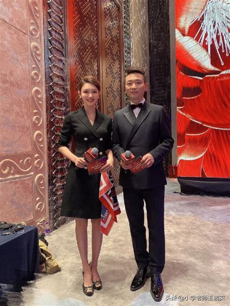 龙洋龙洋简历个人资料简介（主持过诗词大会的才女） 人物集